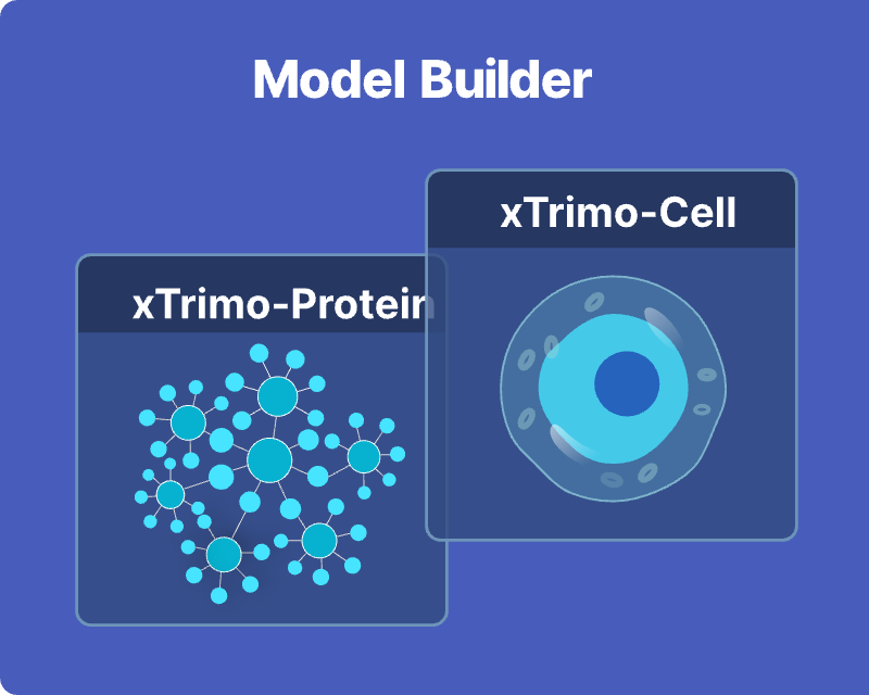 ivva-AI驱动的招聘管理系统